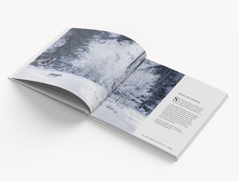 Yellowstone: Wildlife Photography by Trent Sizemore - Coffee Table Book ...