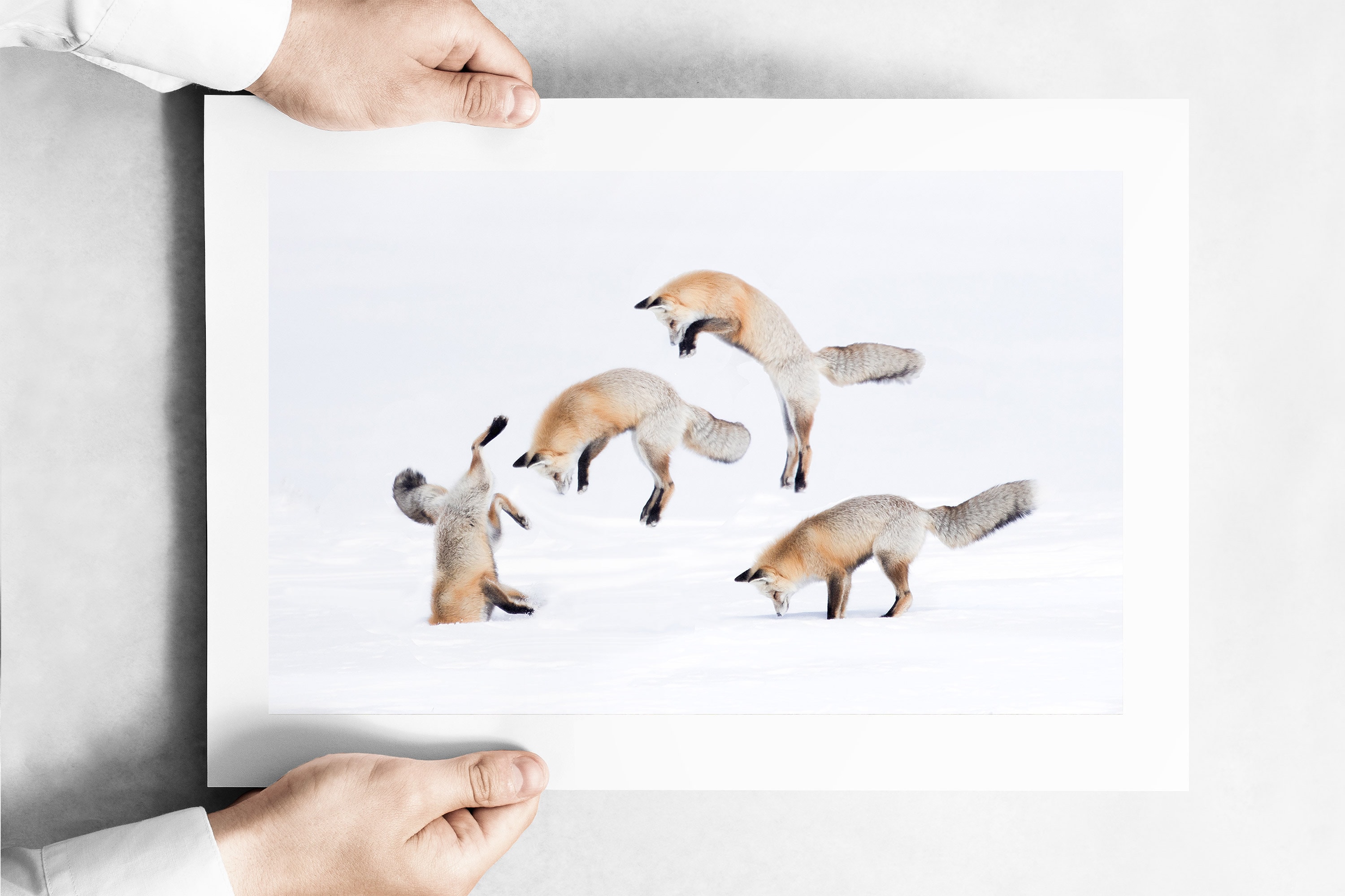 Pouncing Red Fox in Winter Composite Image - Etsy