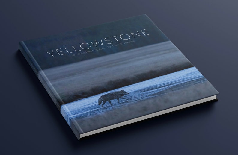 Yellowstone: Wildlife Photography by Trent Sizemore - Coffee Table Book ...