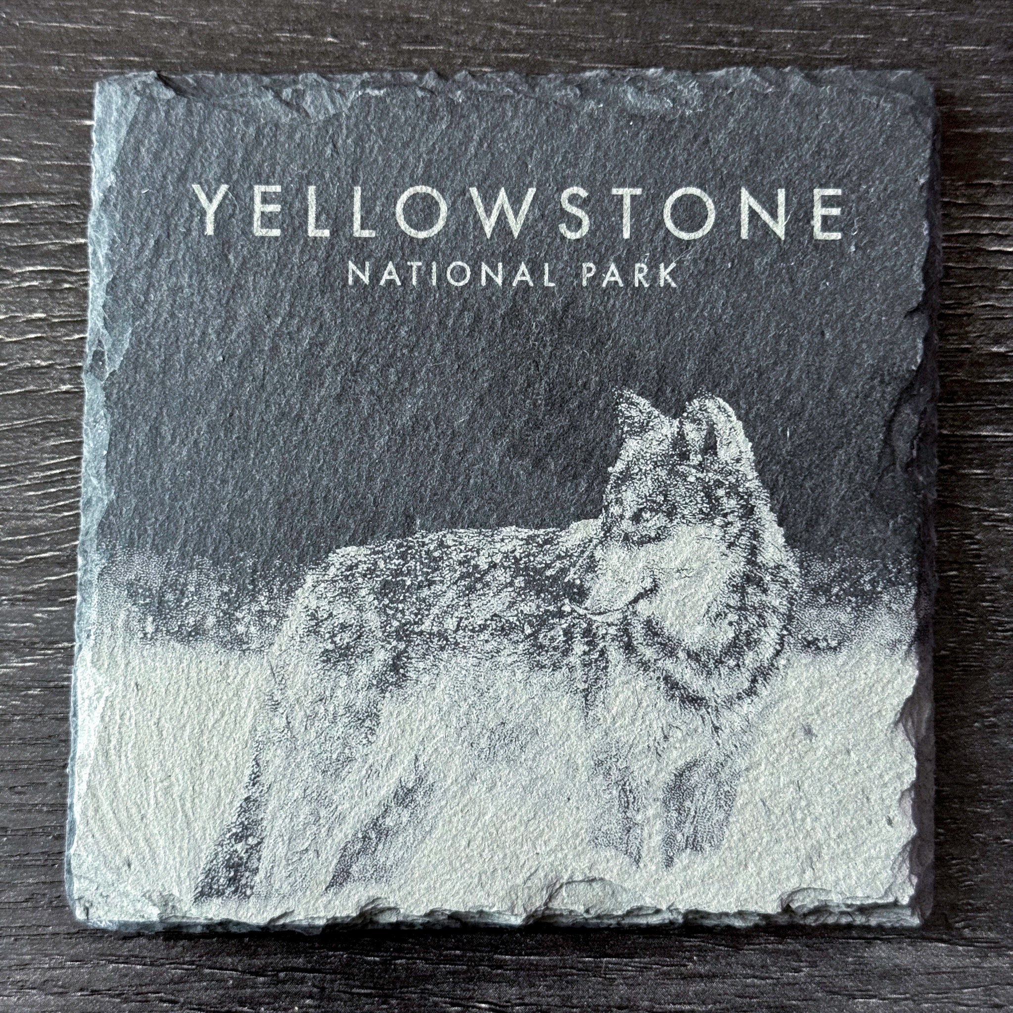 Wildlife Coasters Yellowstone Pack Set of 4/6/8 Square - Etsy