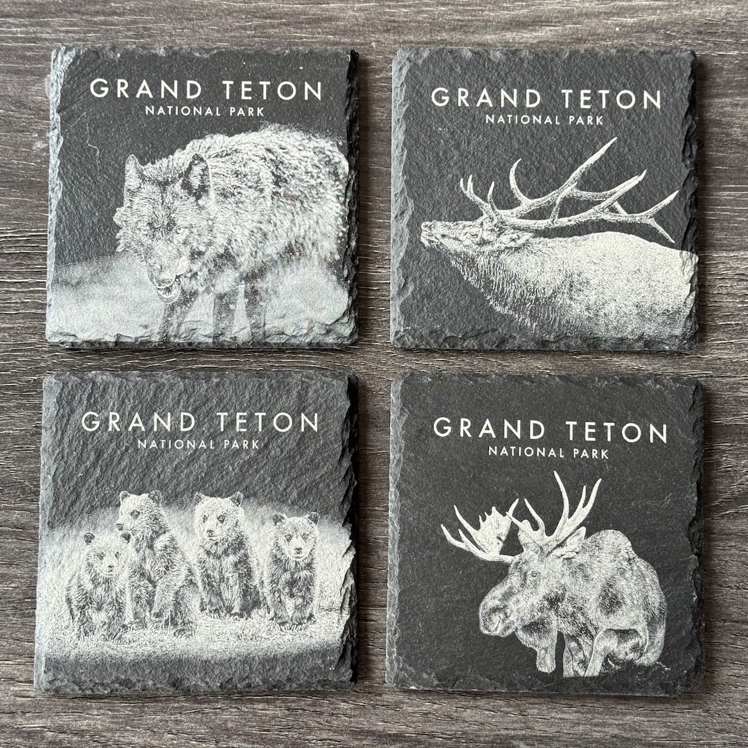 Wildlife Coasters - Grand Teton Pack - Set of Four - Square - Etsy