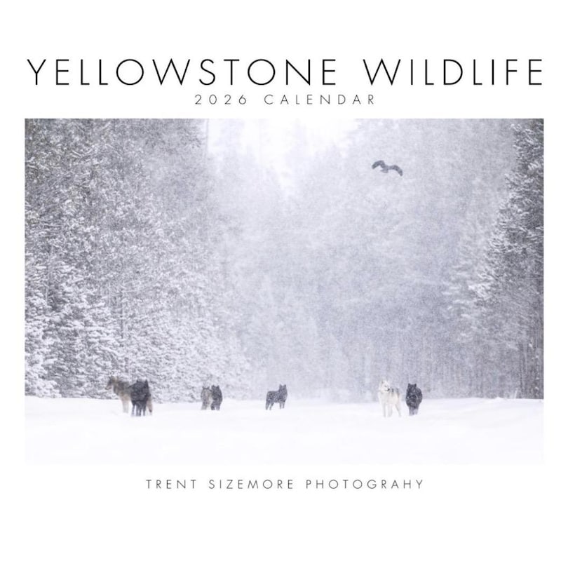 Matte Paper Wall Calendar - Etsy