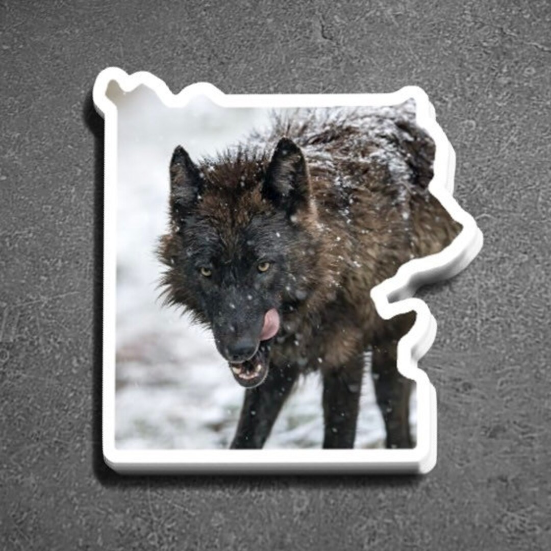 Black Wapiti Wolf - Heavy Duty Sticker (limited Edition of 30) - Etsy