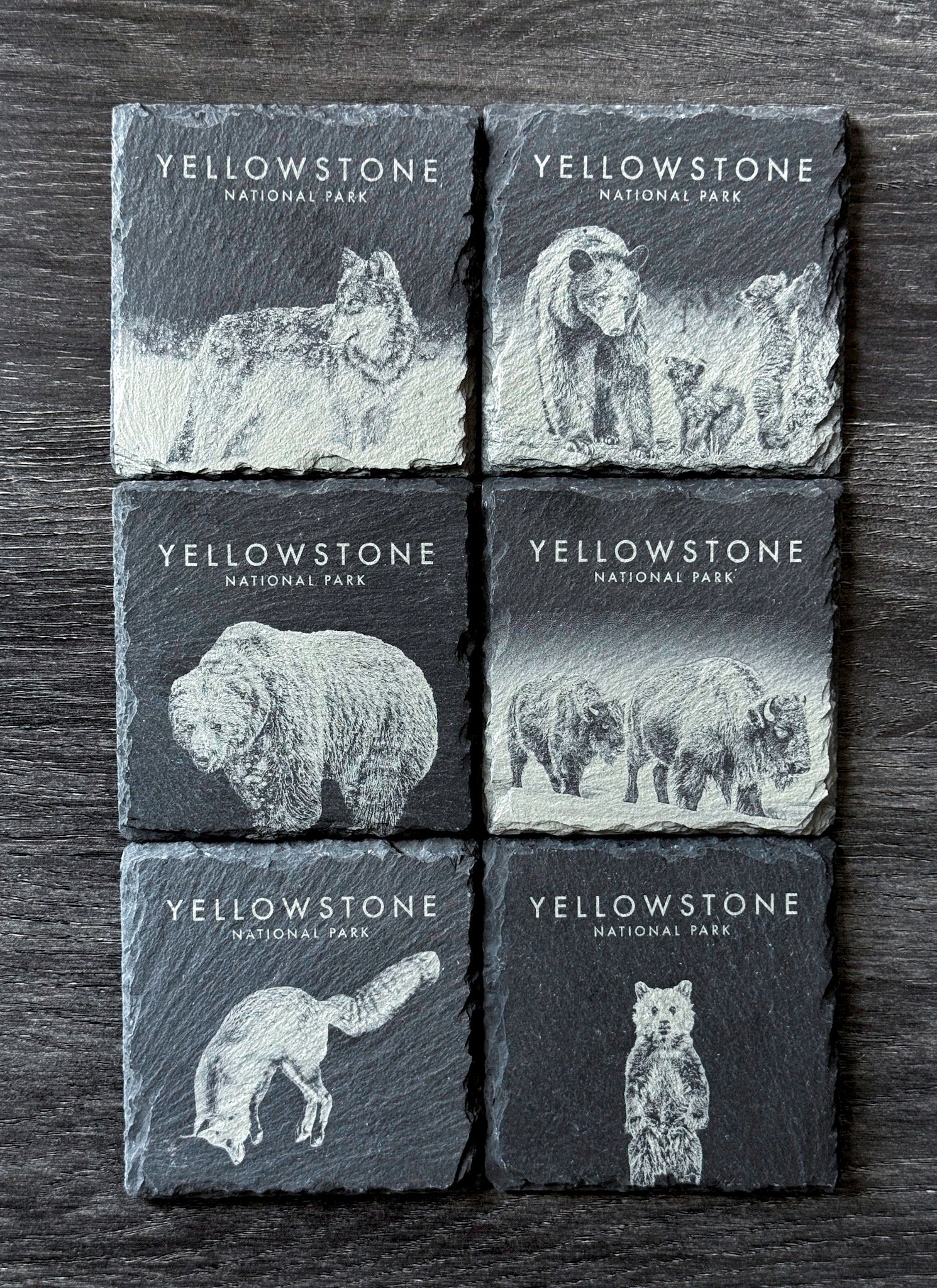 Wildlife Coasters Yellowstone Pack Set of 4/6/8 Square - Etsy