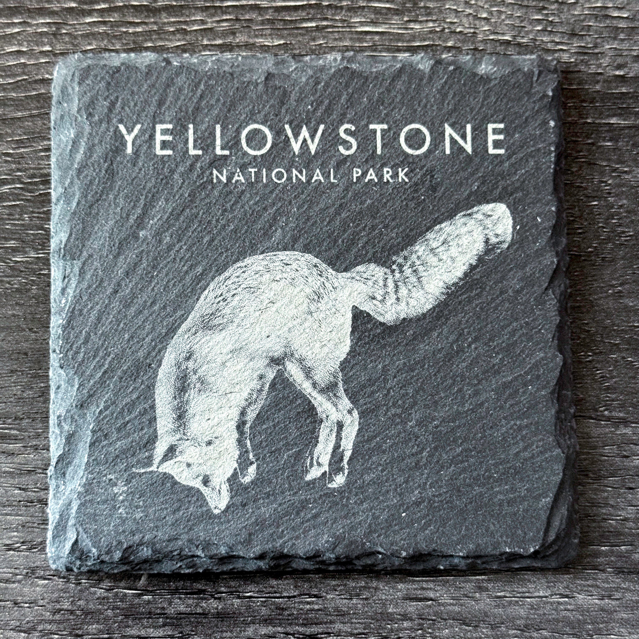 Wildlife Coasters Yellowstone Pack Set of 4/6/8 Square - Etsy