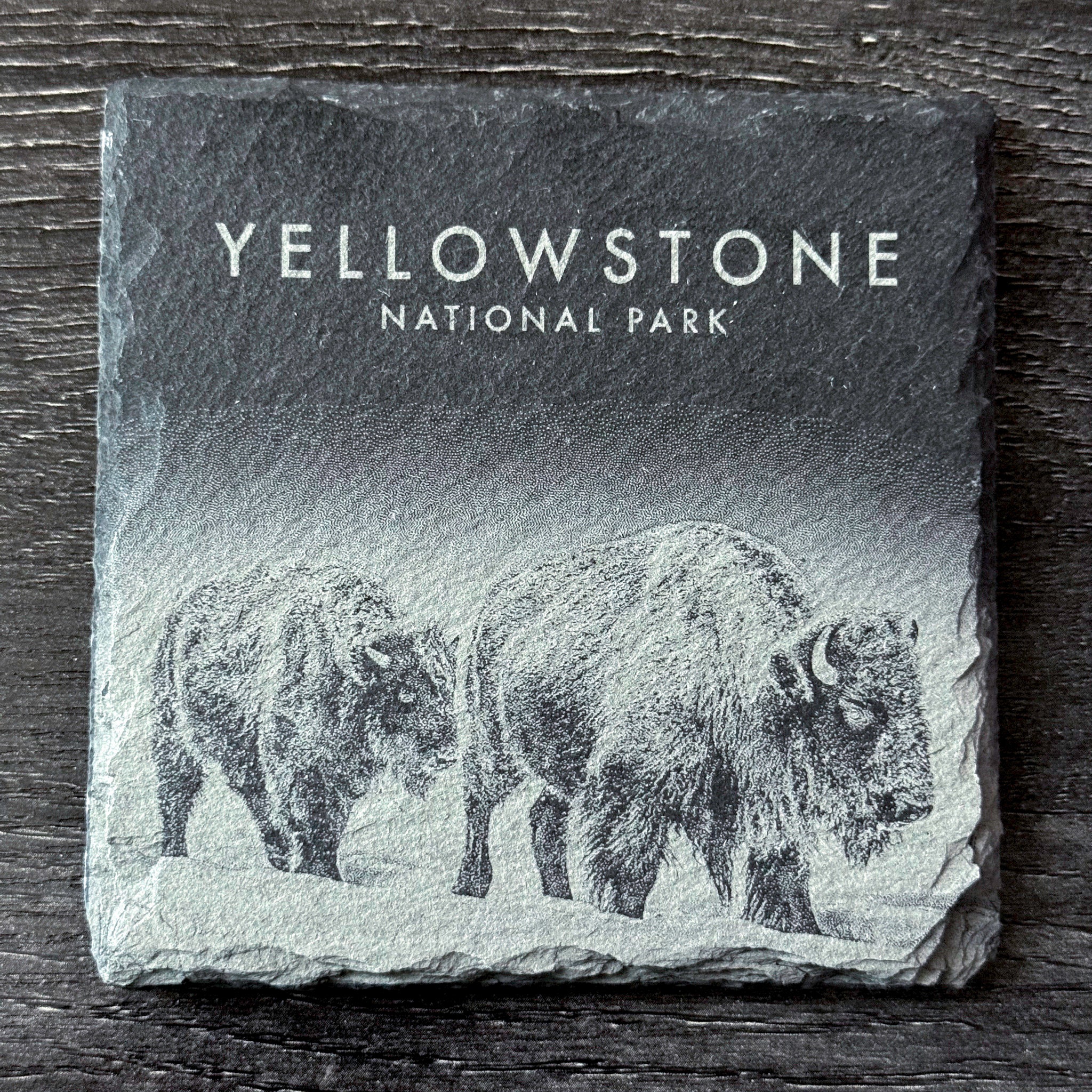 Wildlife Coasters Yellowstone Pack Set of 4/6/8 Square - Etsy