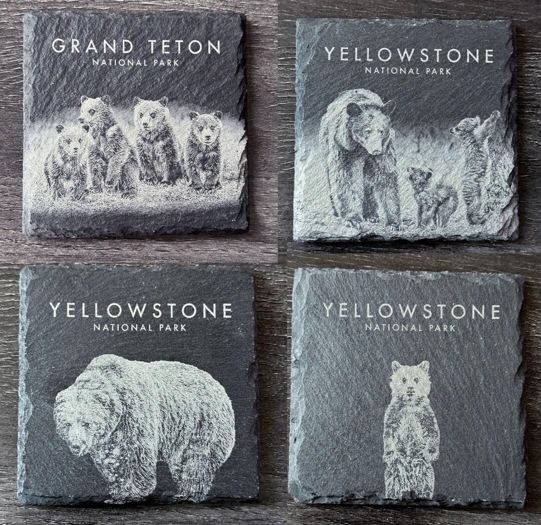 Wildlife Coasters - Bear Pack - Set of 4 - Square - Etsy