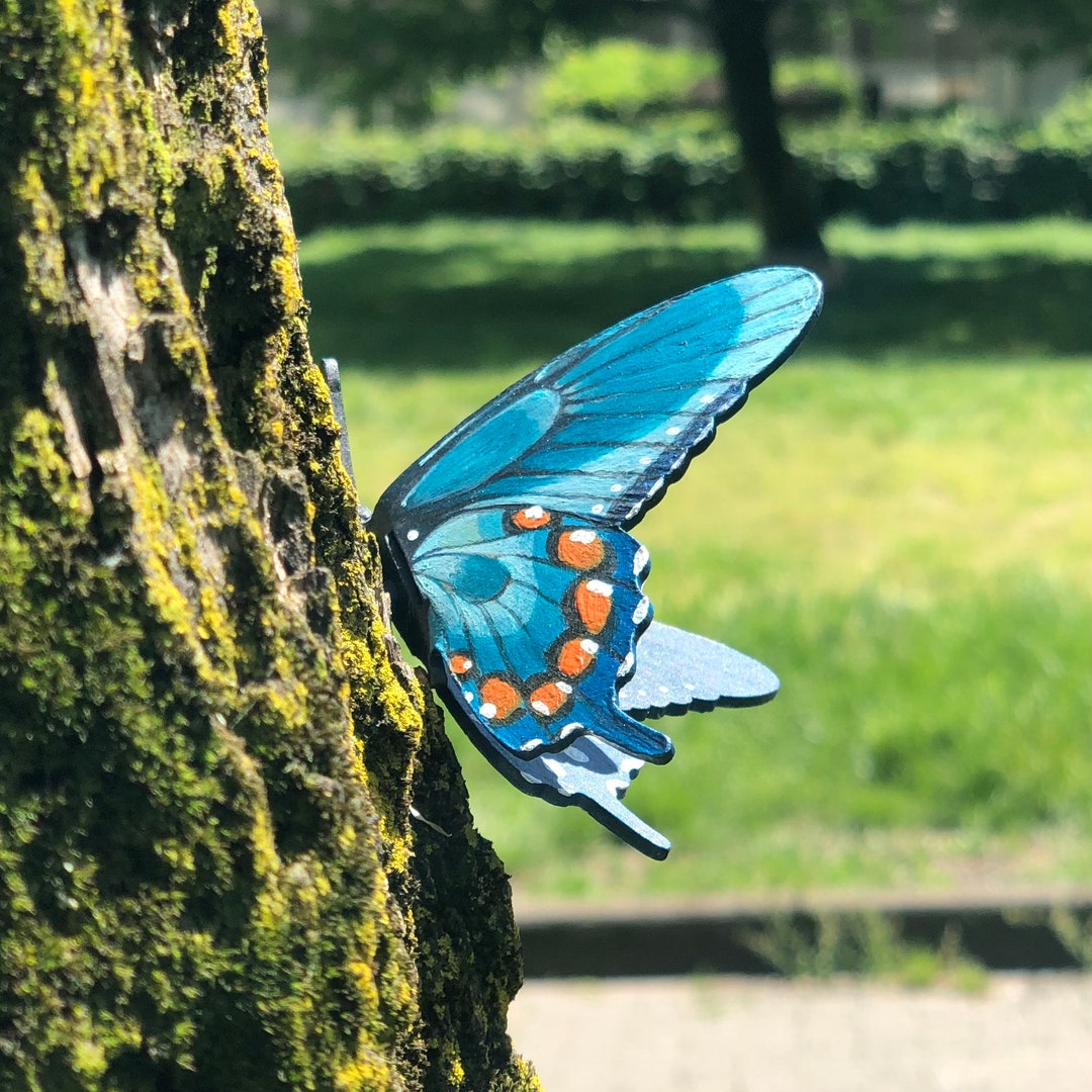 Painted Metal Butterfly Wall Art: Pipevine Swallowtail Decor - Etsy