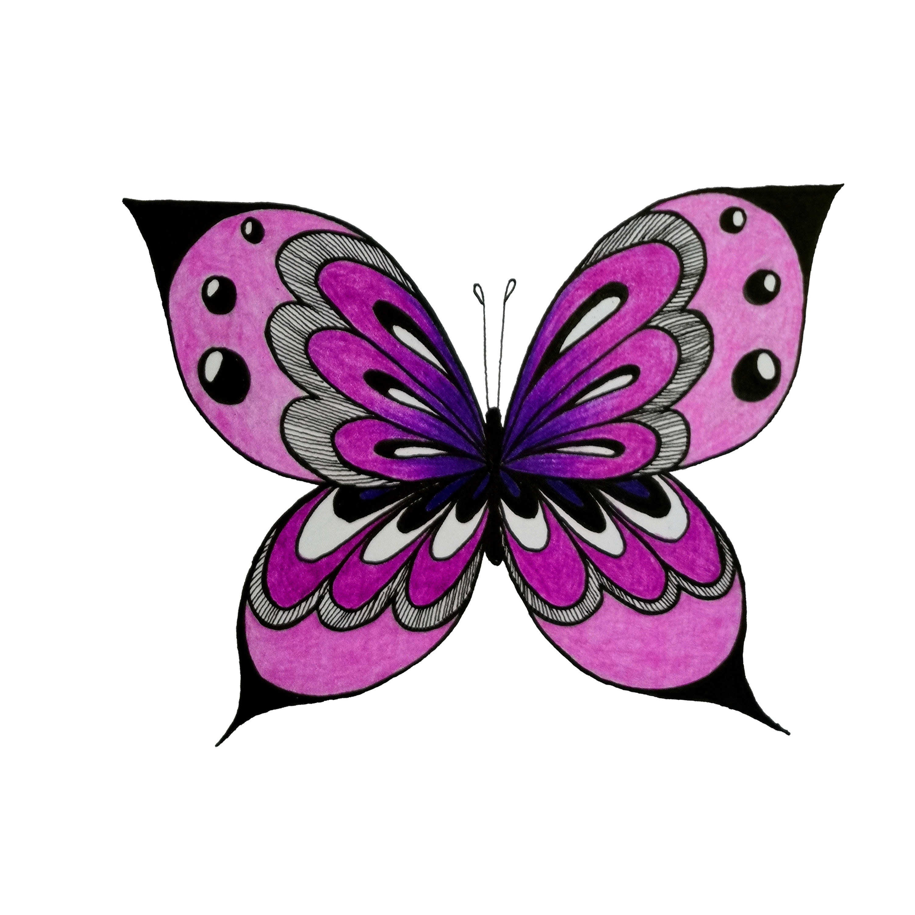 Butterflies, Insects, Color Arts, Color Clip Art, Black and White Clip ...