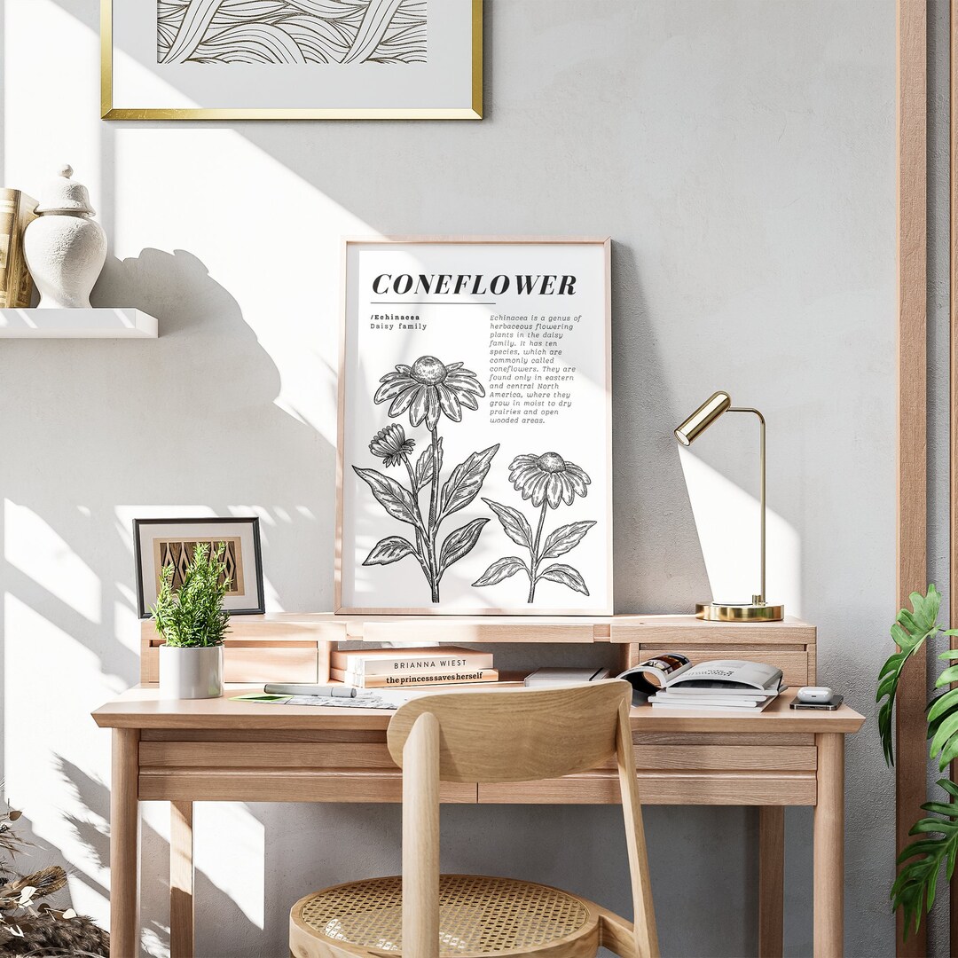 Plant Illustration Coneflower Poster: Botanical Print, Home Decor ...