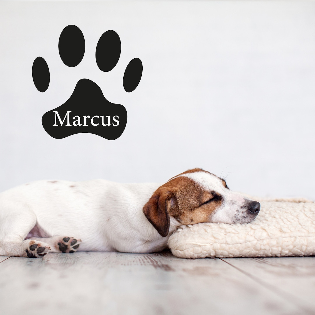 Paw Print With Personalised Name for Pets Name Dog or Cat Wall Sticker ...