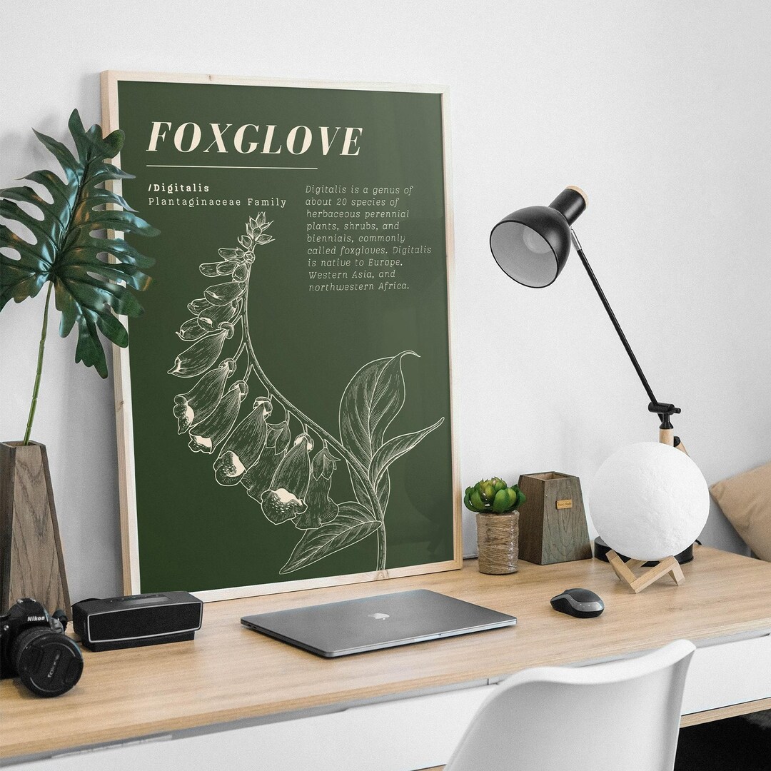 Plant Illustration - Foxglove Poster: Botanical Print, Home Decor ...