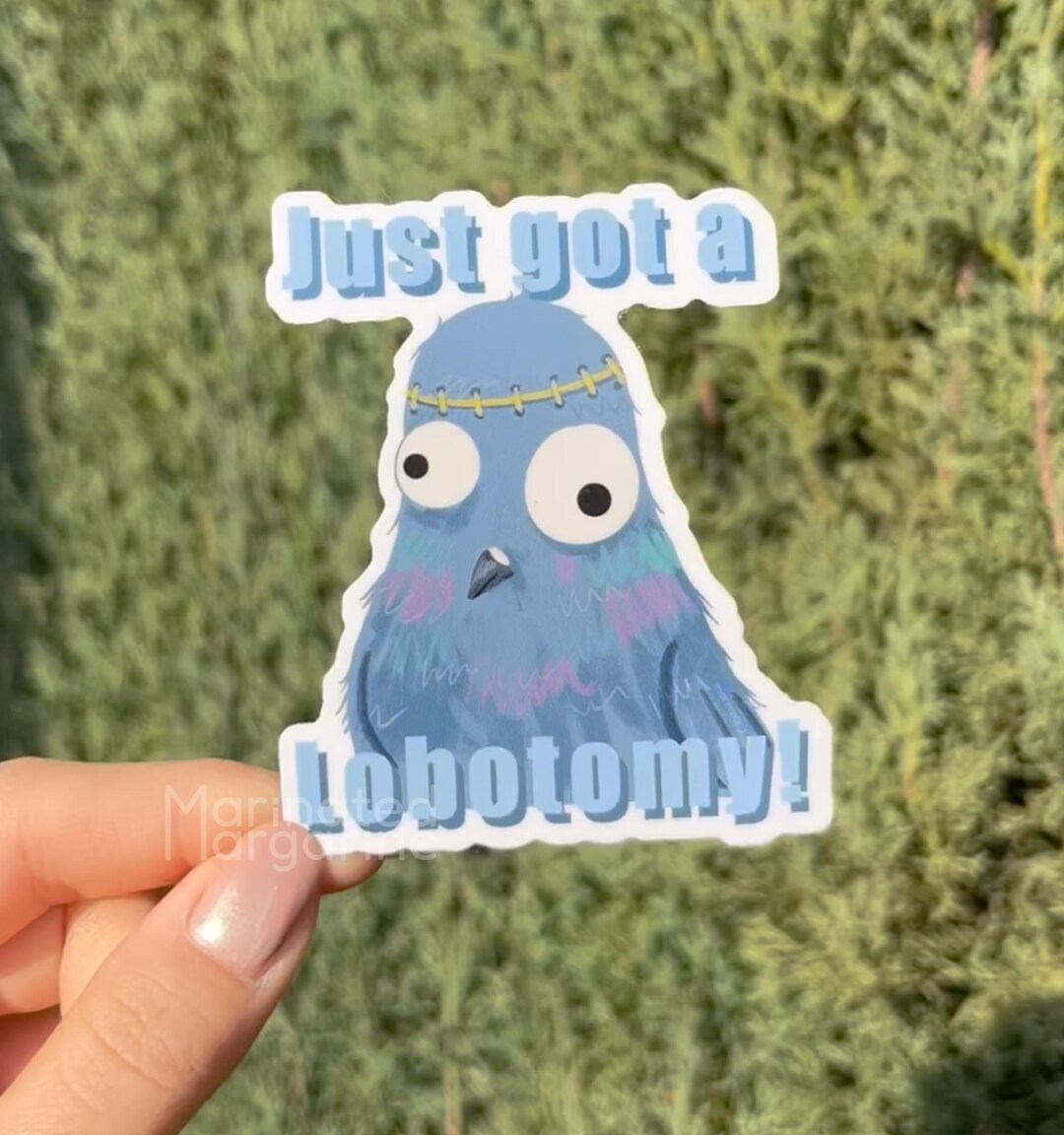 Lobotomy Pigeon: Sticker, Unhinged Gen Z Humor Funny Meme, Laptop Decal ...