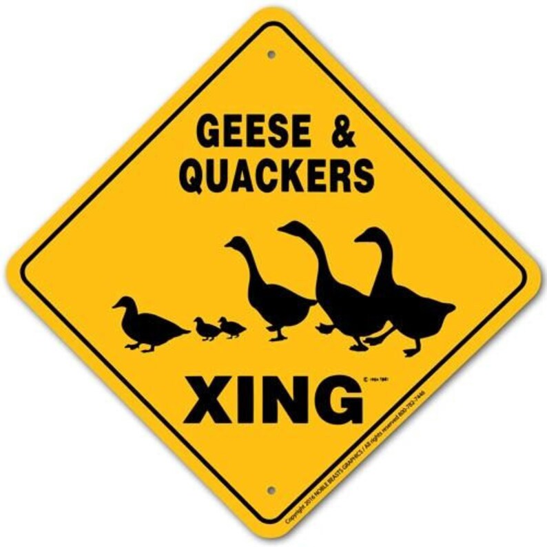 Geese & Quackers Xing Sign Aluminum 12 in X 12 in 20316 - Etsy