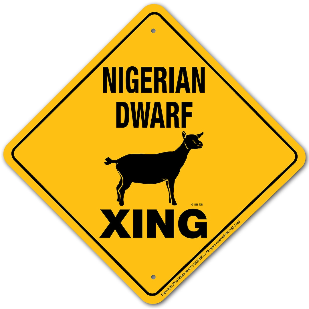 Nigerian Dwarf Xing Sign Aluminum 12 in X 12 in #20033 - Etsy