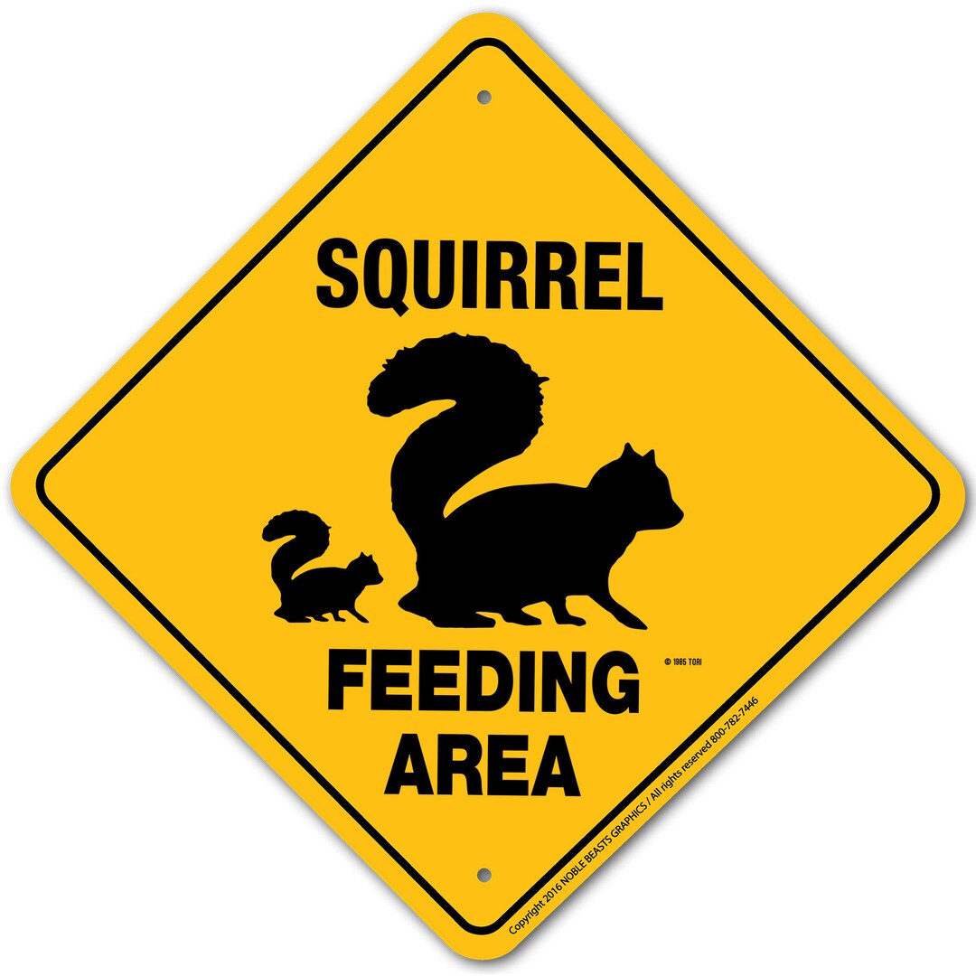 Squirrel Feeding Area Sign Aluminum 12 in X 12 in #20776 - Etsy