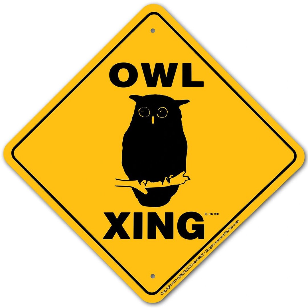 Owl Xing Sign Aluminum 12 in X 12 in #20881 - Etsy