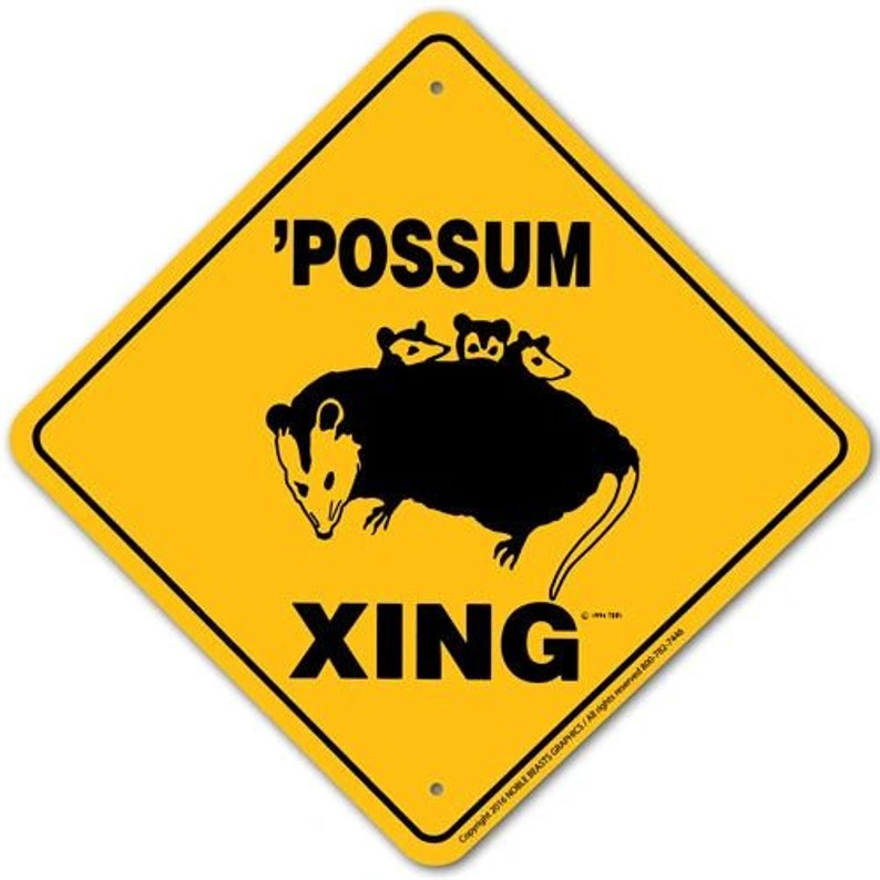 Possum Xing Sign Aluminum 12 in X 12 in 20814 - Etsy