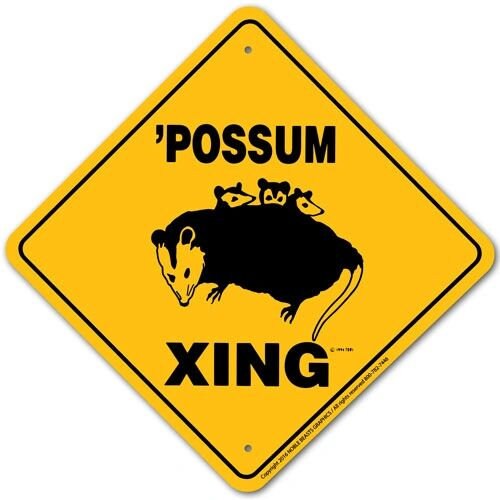 Possum Xing Sign Aluminum 12 in X 12 in 20814 | Etsy