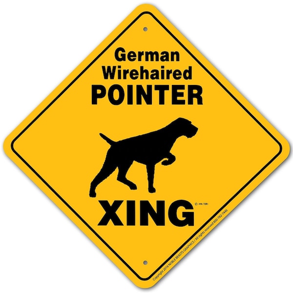 German Wirehaired Pointer - Etsy