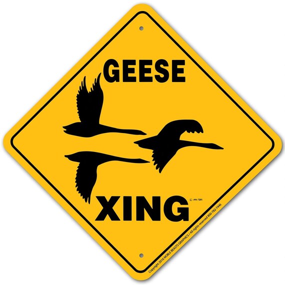 Geese wild Xing Sign Aluminum 12 in X 12 in 20691 - Etsy