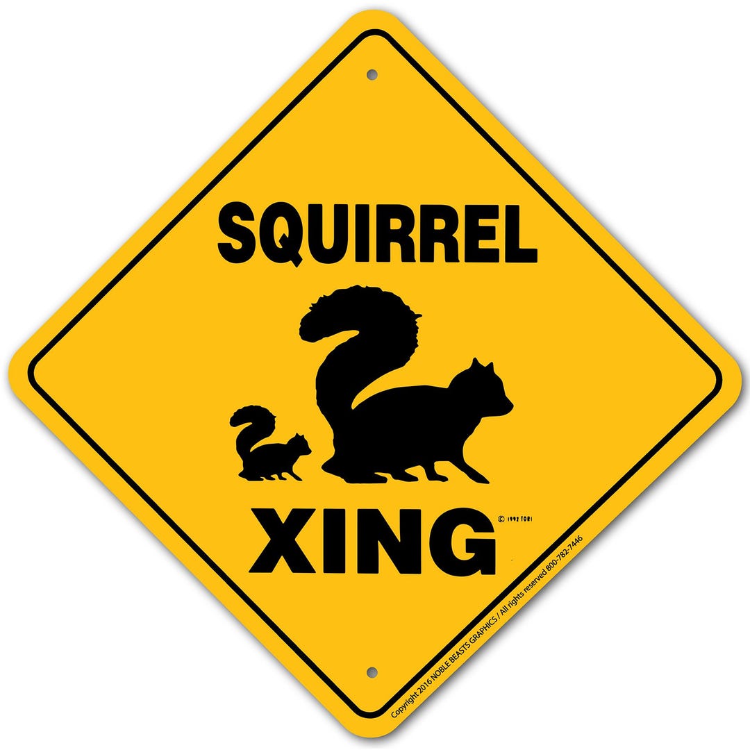 Squirrel Xing Sign Aluminum 12 in X 12 in #20746 - Etsy