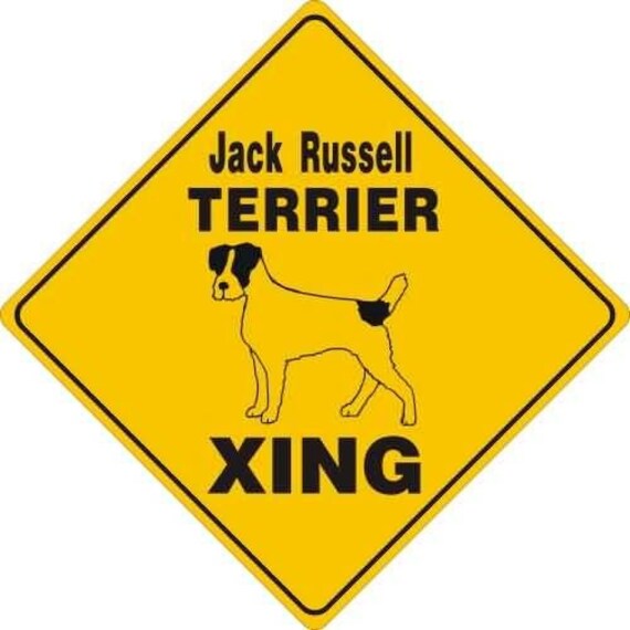 Jack Russell Terrier rough Xing Sign Aluminum 12 in X 12 in | Etsy