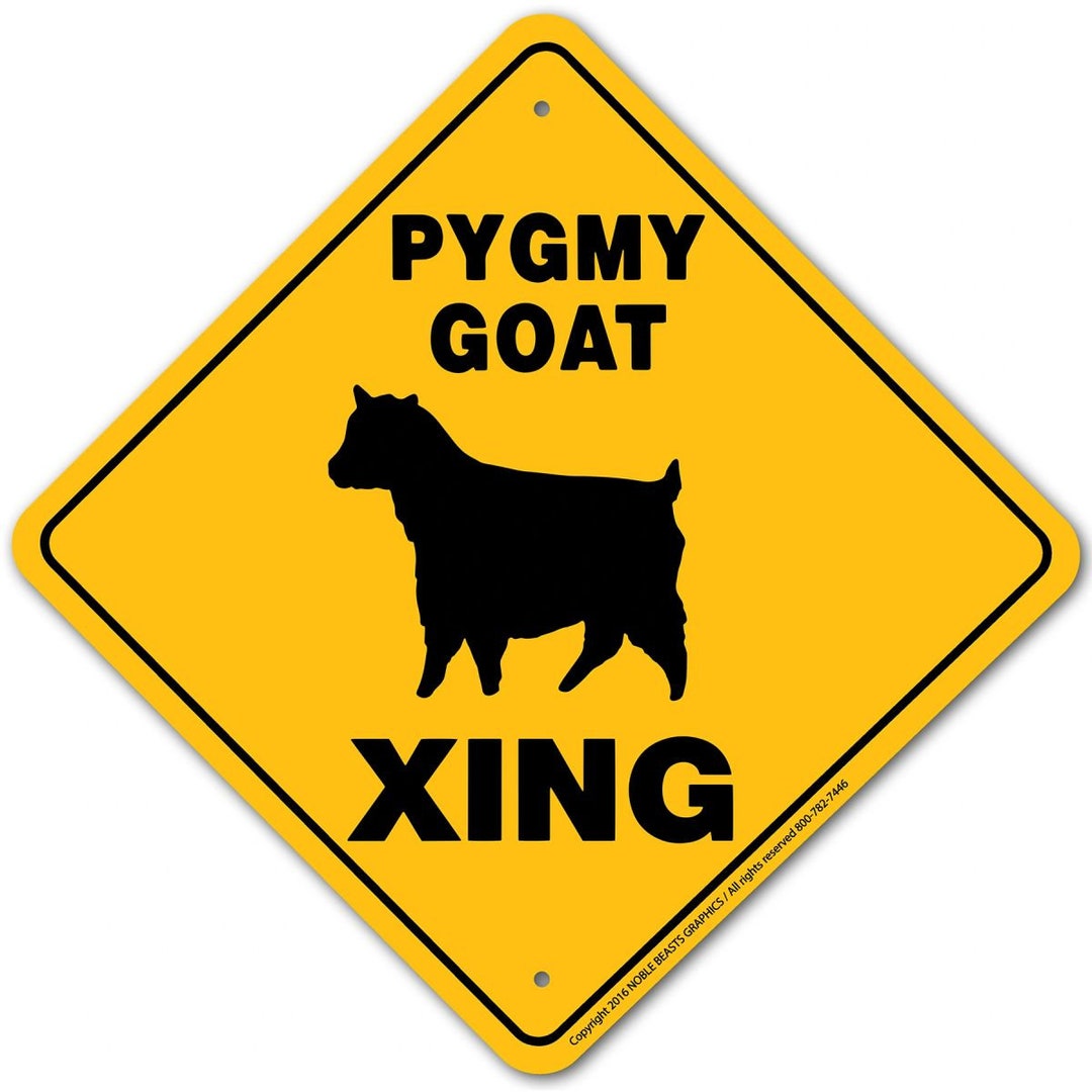 Pygmy Goat Xing Sign Aluminum 12 in X 12 in #20704 - Etsy