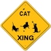 Cat Xing Sign Aluminum 12 in X 12 in 20402 - Etsy