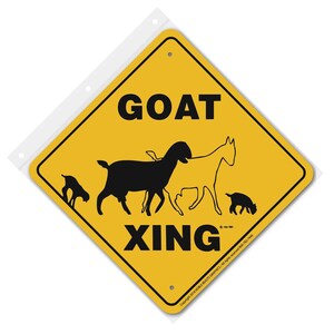 Goat Xing Sign Aluminum 12 in X 12 in #20376 - Etsy