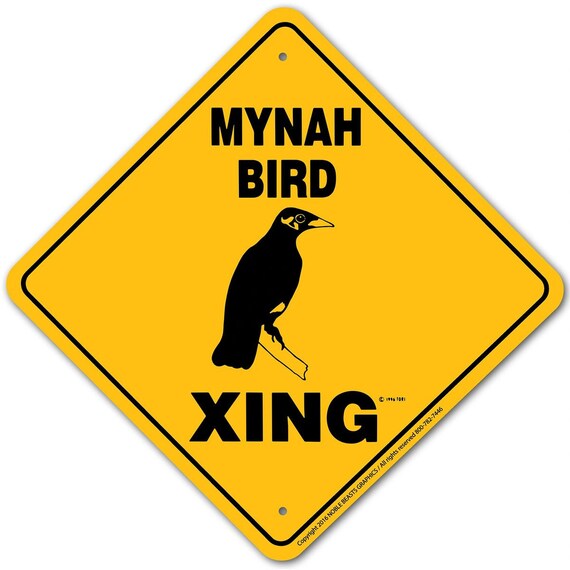 Mynah Bird Sign Aluminum 12 in X 12 in 20884 | Etsy