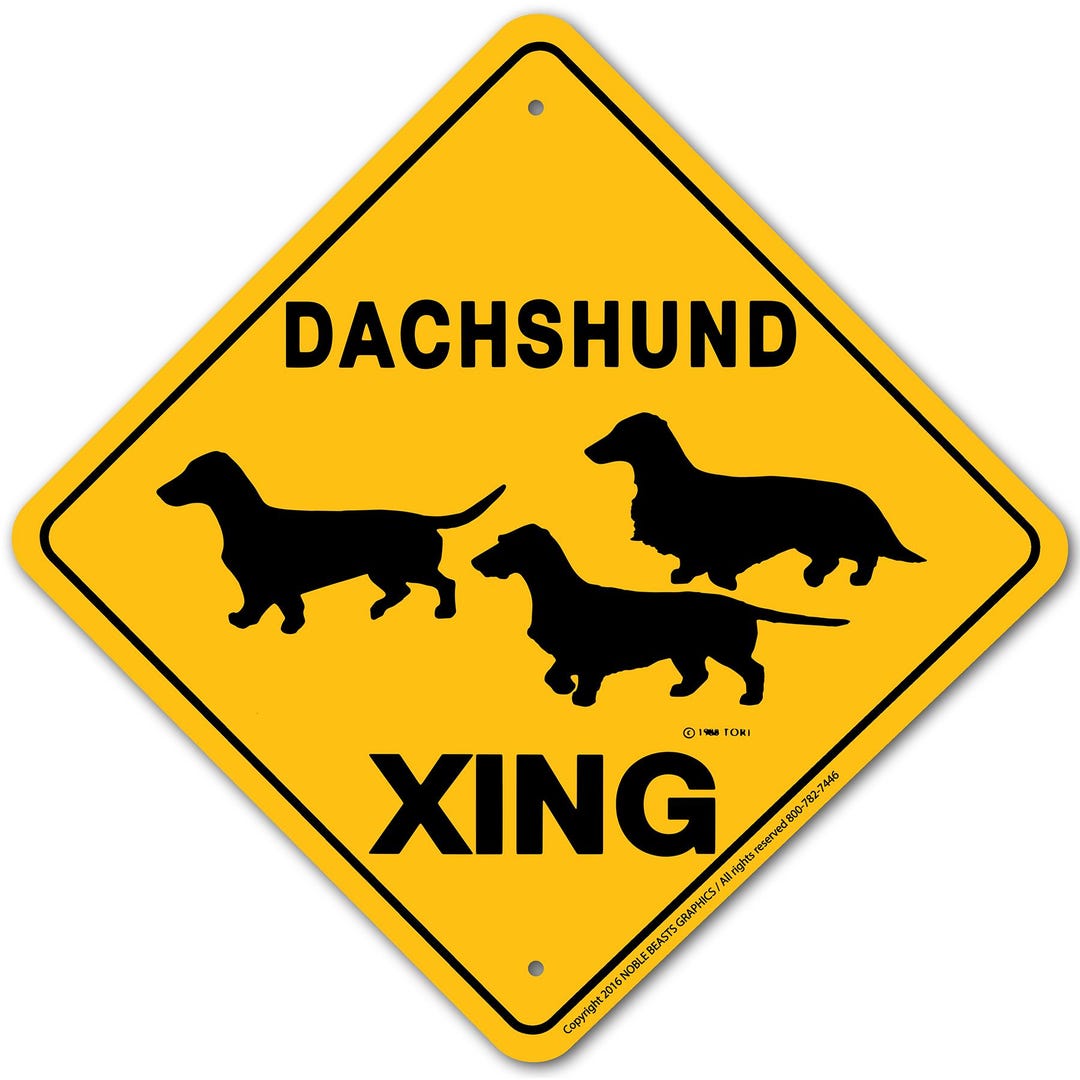 Dachshund Xing Sign Aluminum 12" X 12" #20452 - Etsy