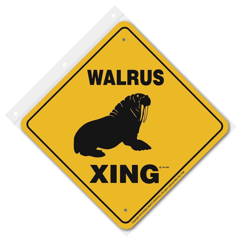 Walrus Xing Sign Aluminum 12 in X 12 in 20847 - Etsy