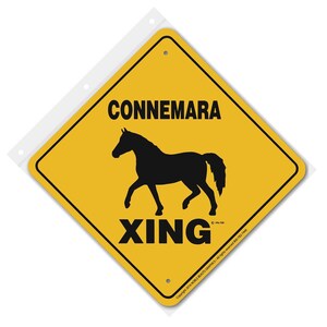 Connemara Xing Sign Aluminum 12 in X 12 in #20833 - Etsy