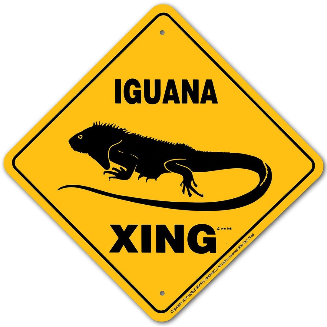 Iguana Xing Sign Aluminum 12 in X 12 in #20784 - Etsy