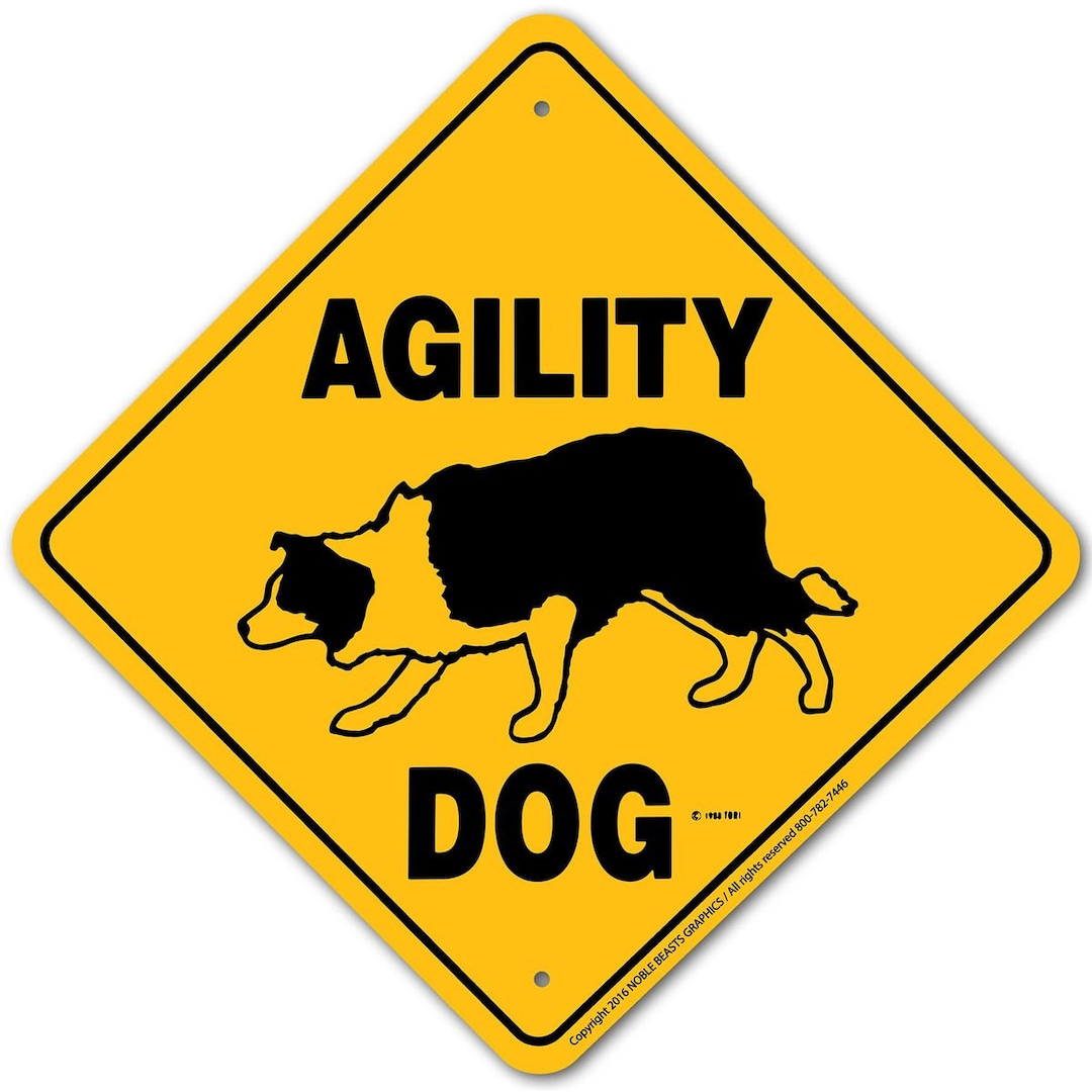 Agility Dog (border Collie) Xing Sign Aluminum 12 in X 12 in #20102 - Etsy