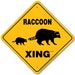 Raccoon Xing Sign Aluminum 12 in X 12 in 20744 - Etsy