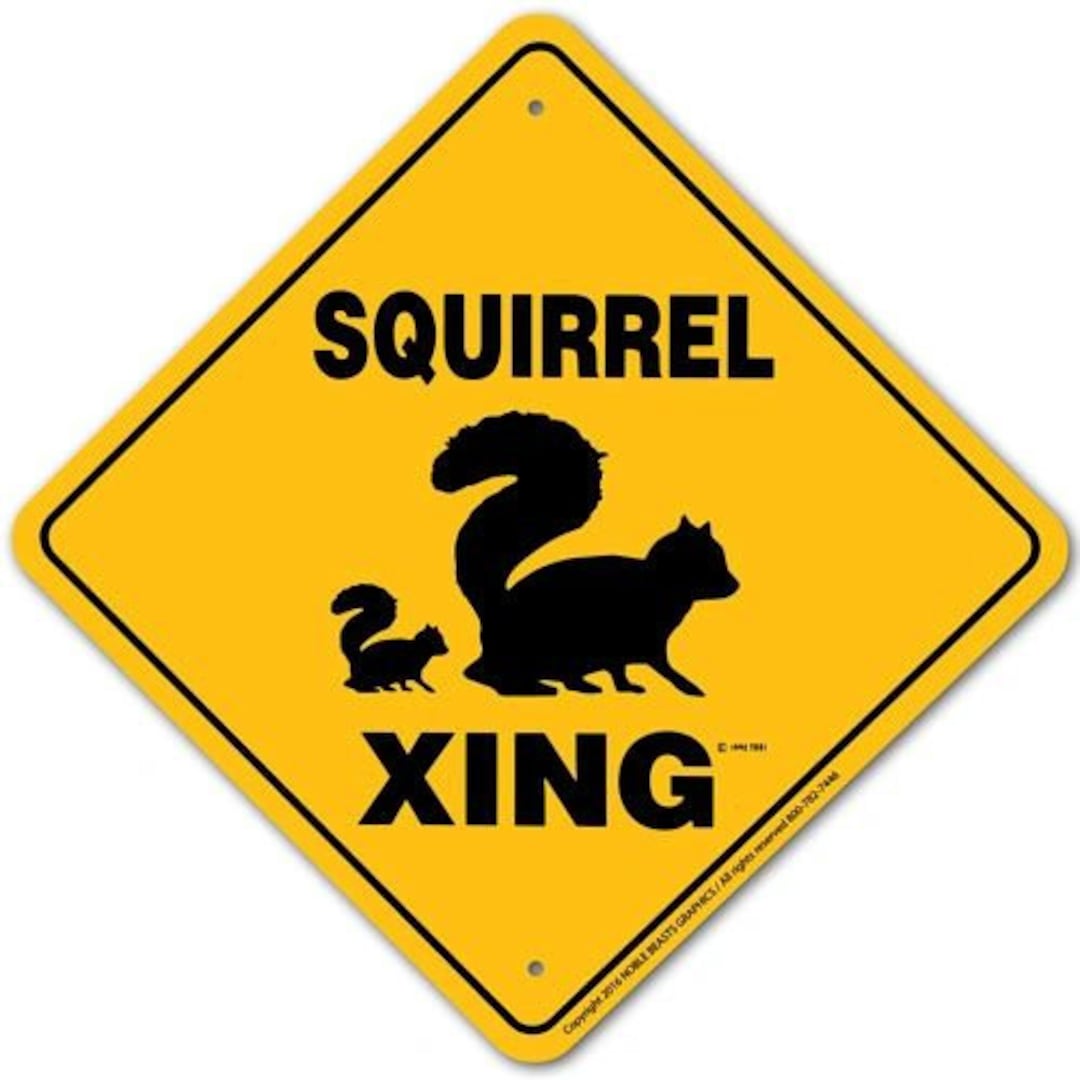 Squirrel Xing Sign Aluminum 12 in X 12 in 20746 - Etsy