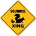 Squirrel Xing Sign Aluminum 12 in X 12 in 20746 - Etsy