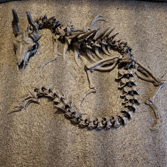 Dragon Skeleton Found 2024