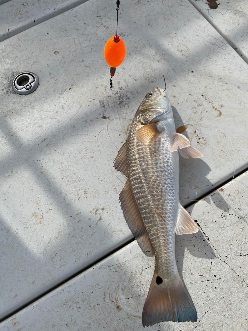 Popping Corks Set of 4 Redfish Trout Flounder Handmade - Etsy