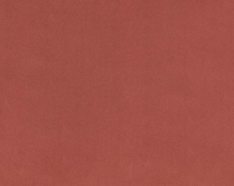 Shannon Fabrics Extra Wide 90 Solid Cuddle 3 Platinum Minky Fabric - Etsy