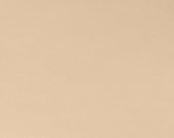 Shannon Fabrics Extra Wide 90 Solid Cuddle 3 Platinum Minky Fabric - Etsy