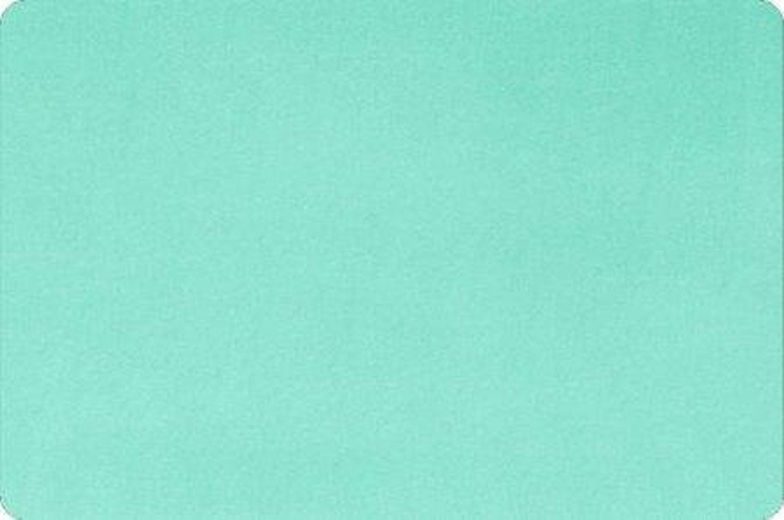 Shannon Fabrics Solid Cuddle 3 Aruba Minky Fabric PRICE PER | Etsy