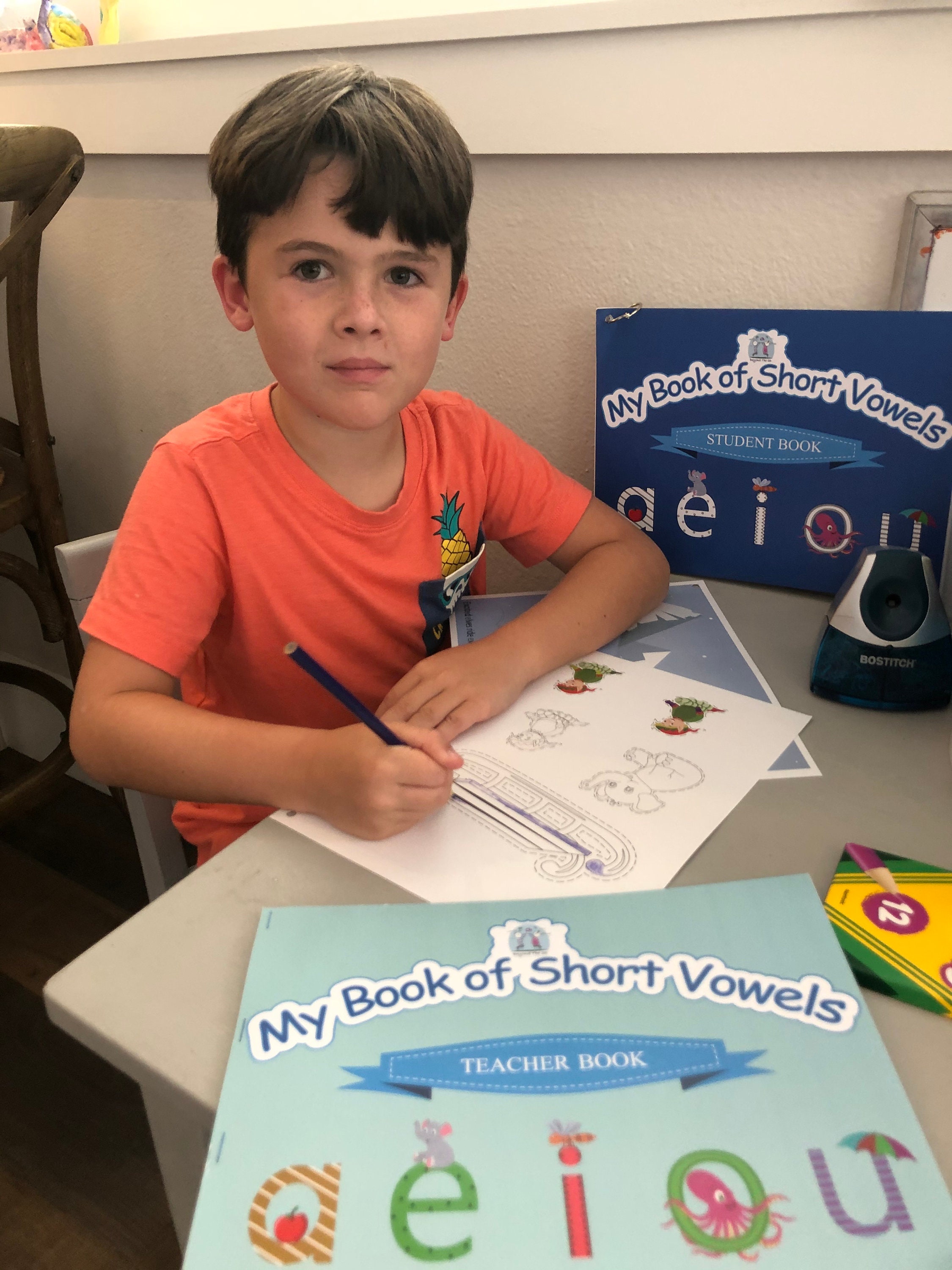 Teach Short Vowels in a Fun and Interactive Way. Phonics/reading/speech ...