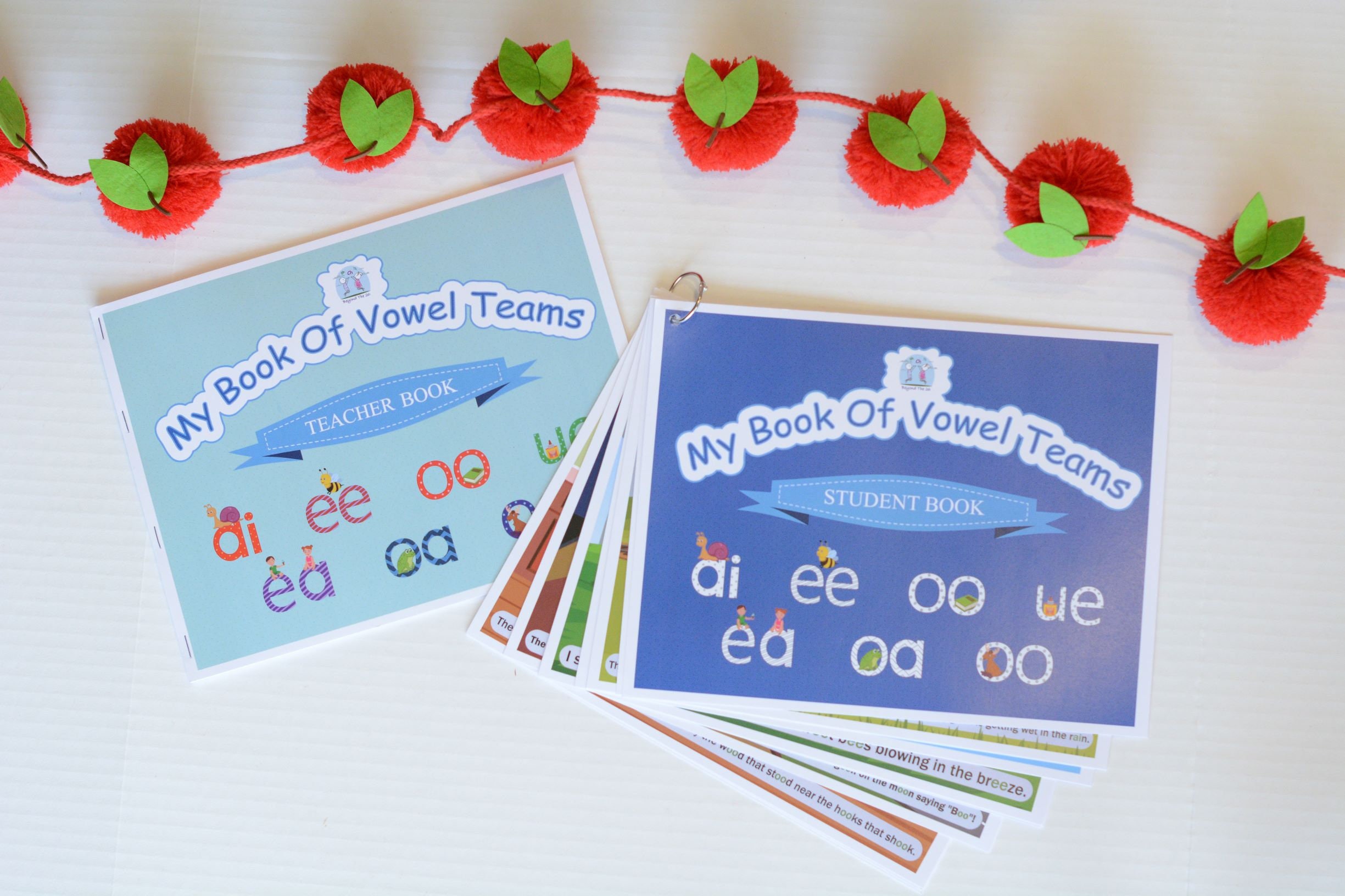Teach Vowel Teams in a Fun and Interactive Way. Phonics/reading/speech ...