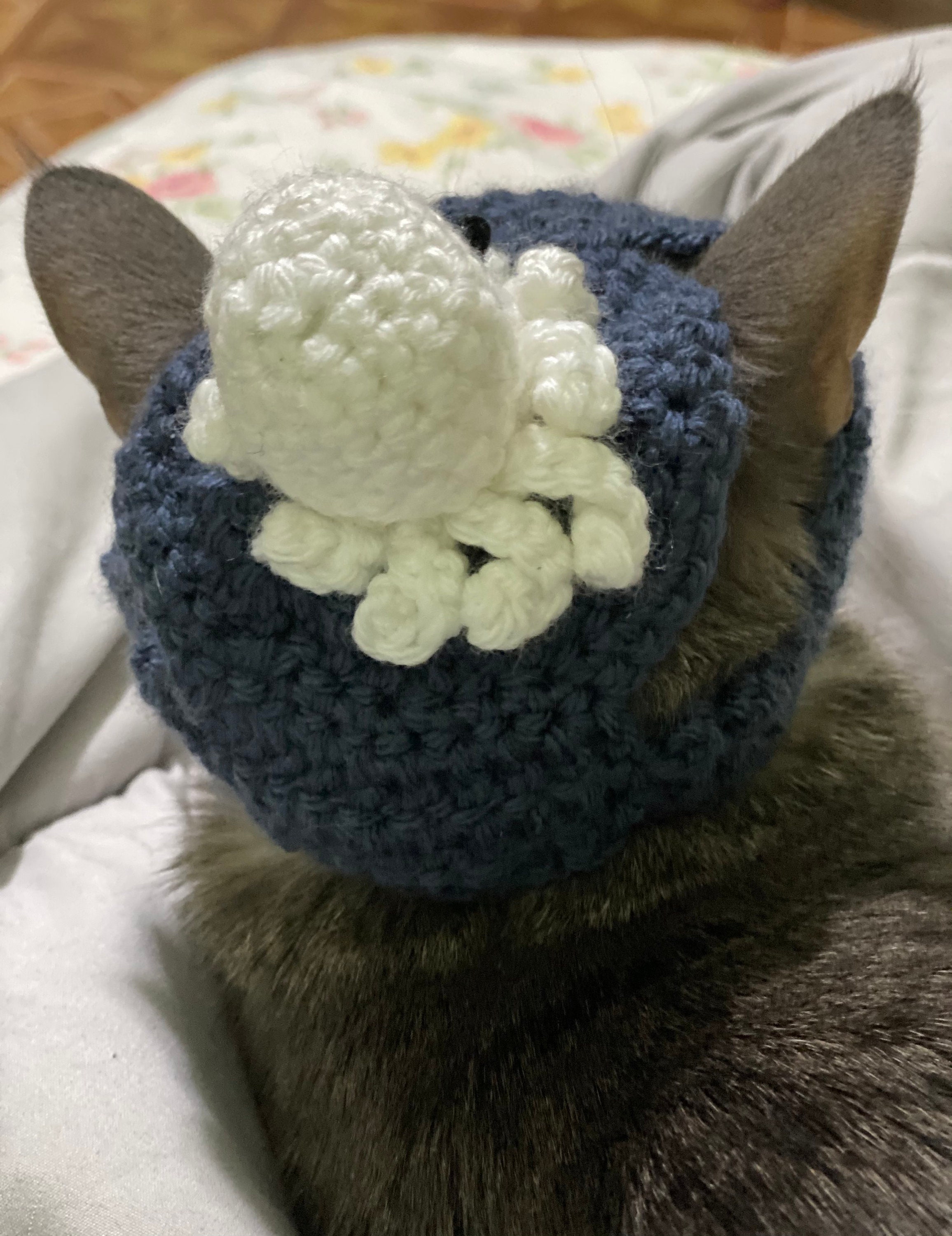 Baby Octopus Cat Hat or Dog Hat - Etsy
