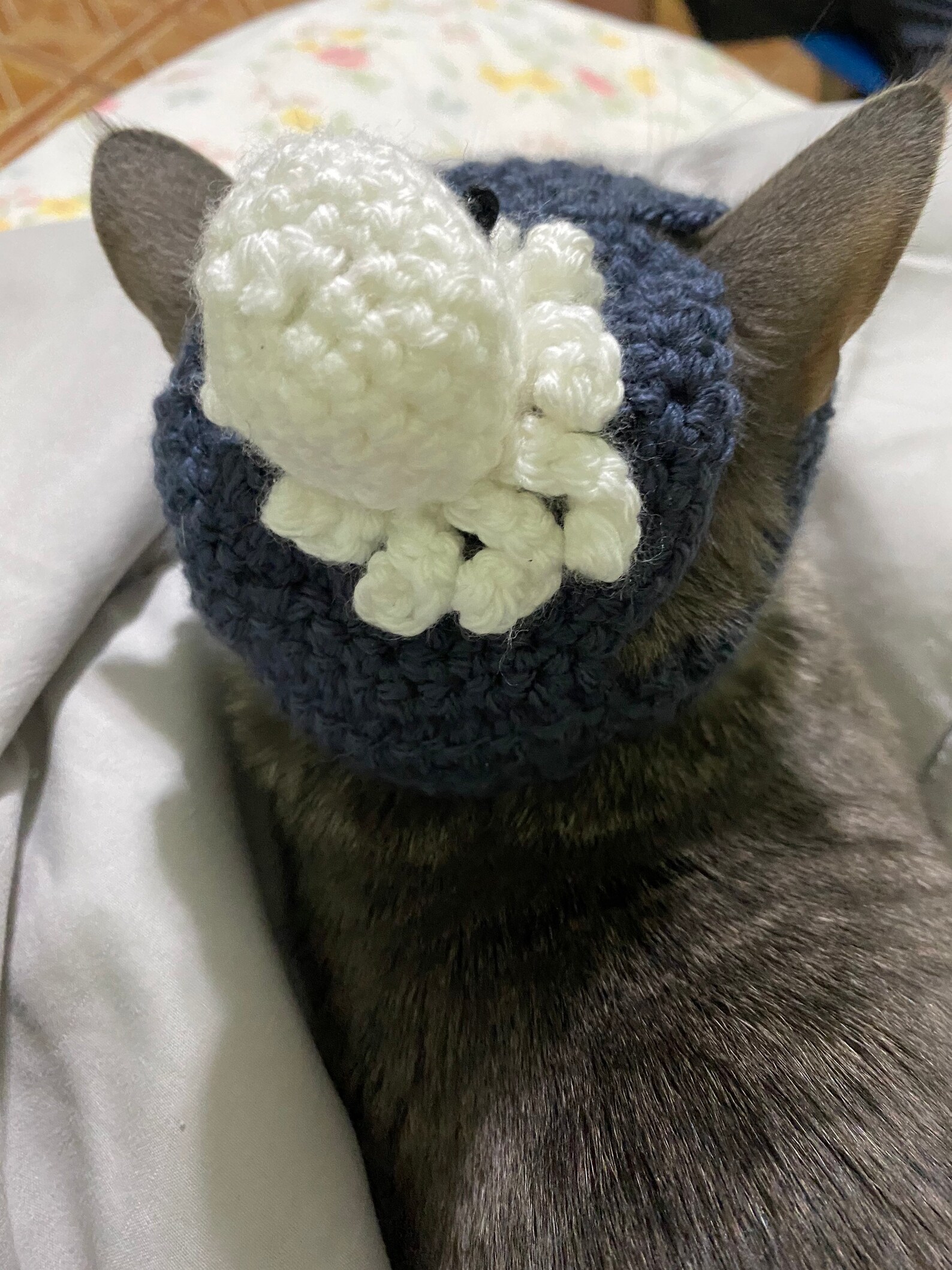 Baby Octopus Cat Hat or Dog Hat - Etsy