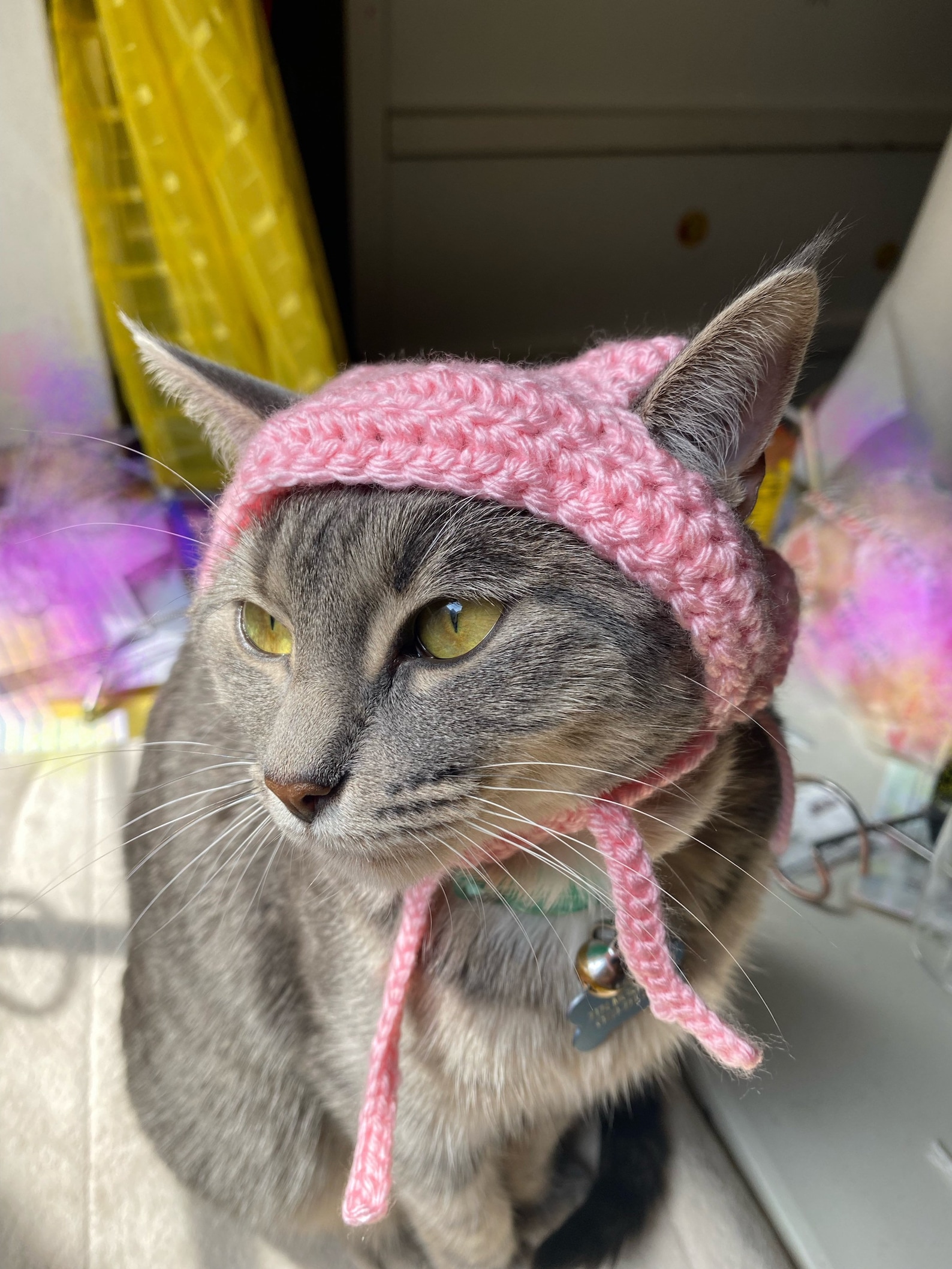 Baby Octopus Cat Hat or Dog Hat - Etsy