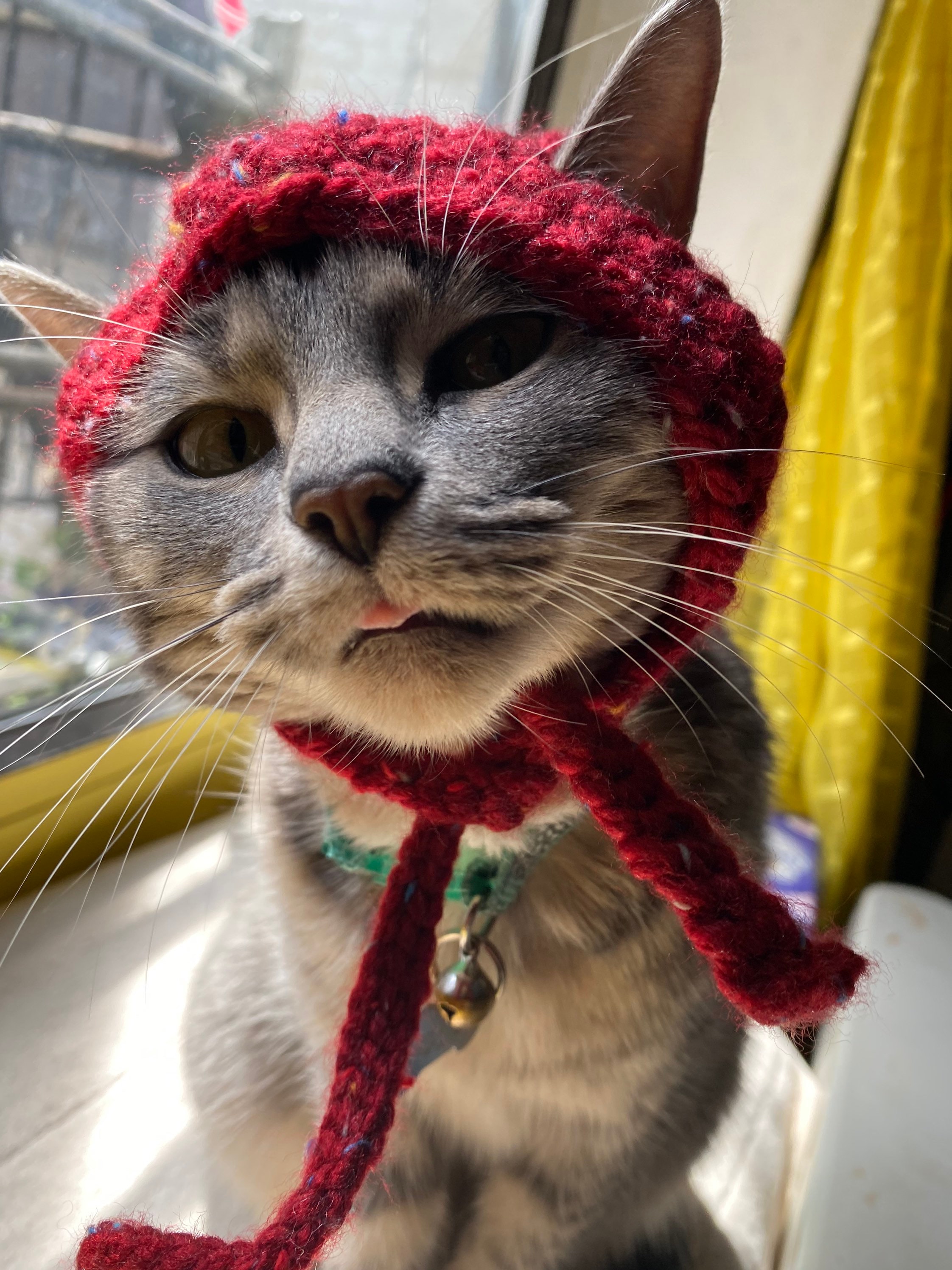 Baby Octopus Cat Hat or Dog Hat - Etsy